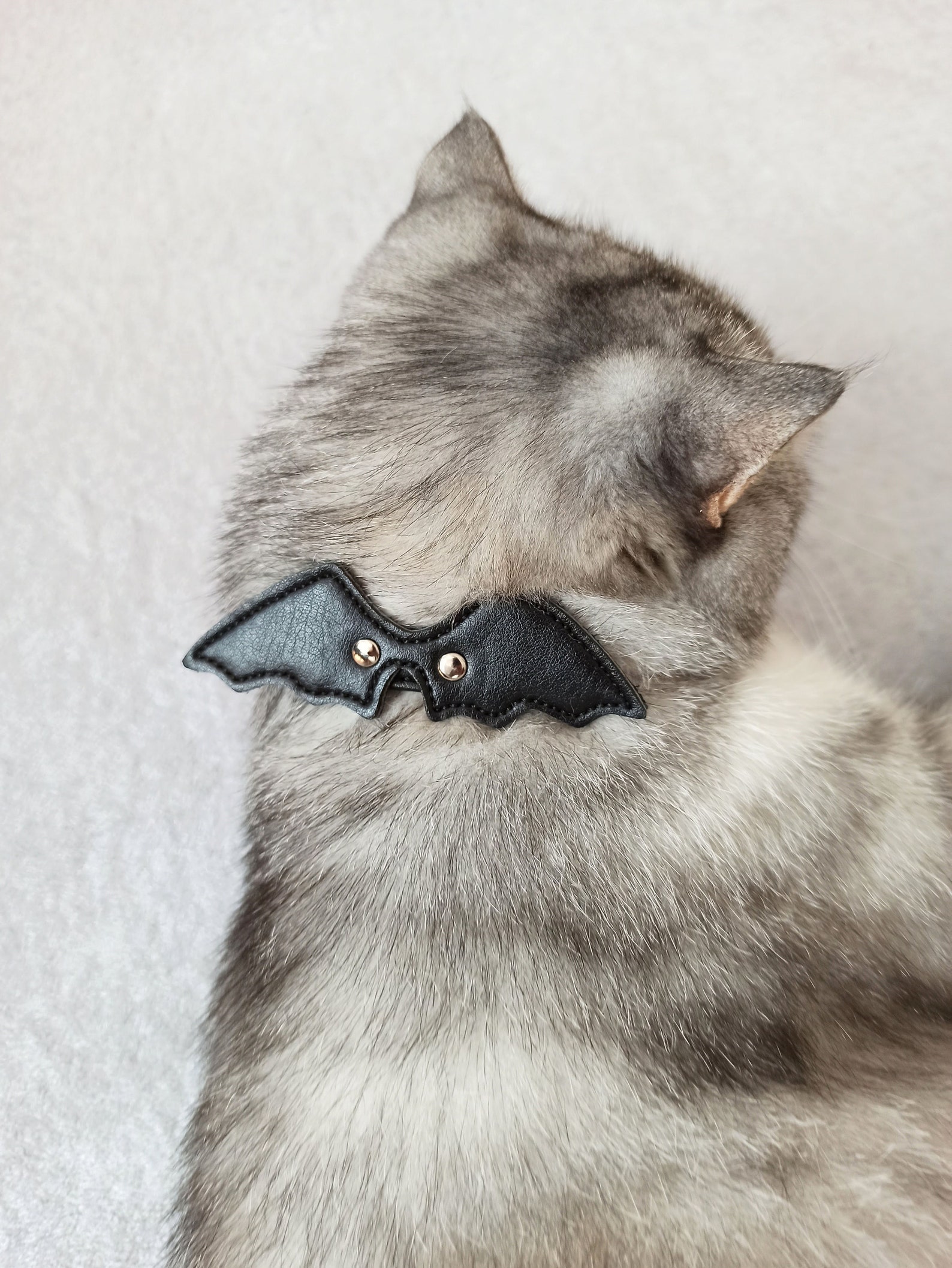 Cat Dog Collar With Bat Wings, Cat Collar With Wings, Pet Leather ...