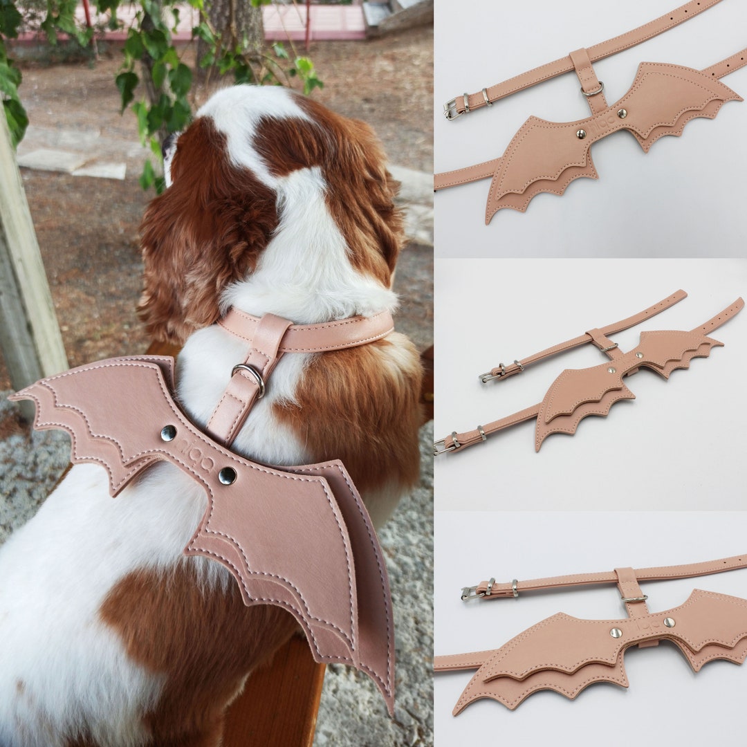 Dog Cat Harness With Bat Wings, Dog Harness With Wings, Pet Leather ...