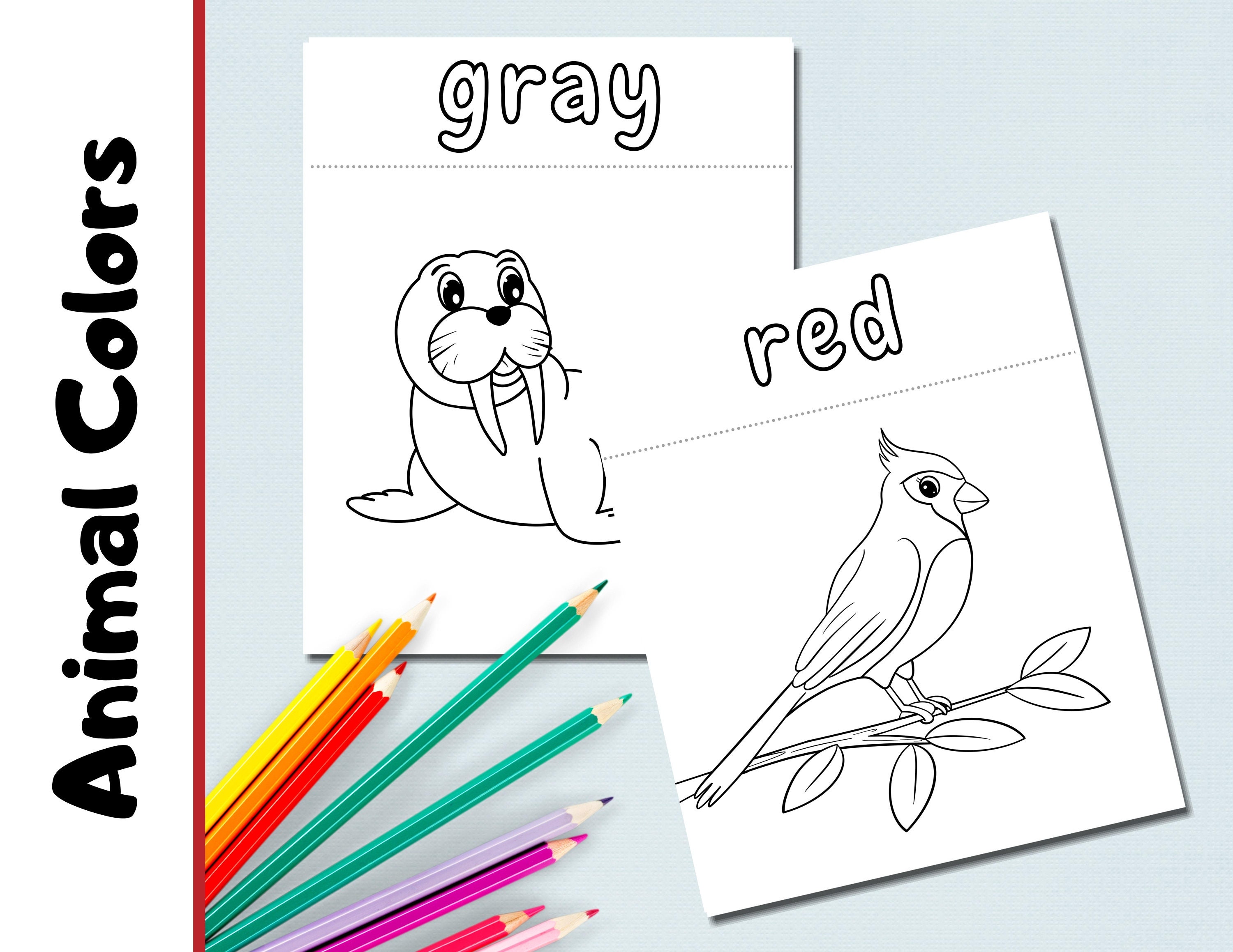 Learning Colors Coloring Pages