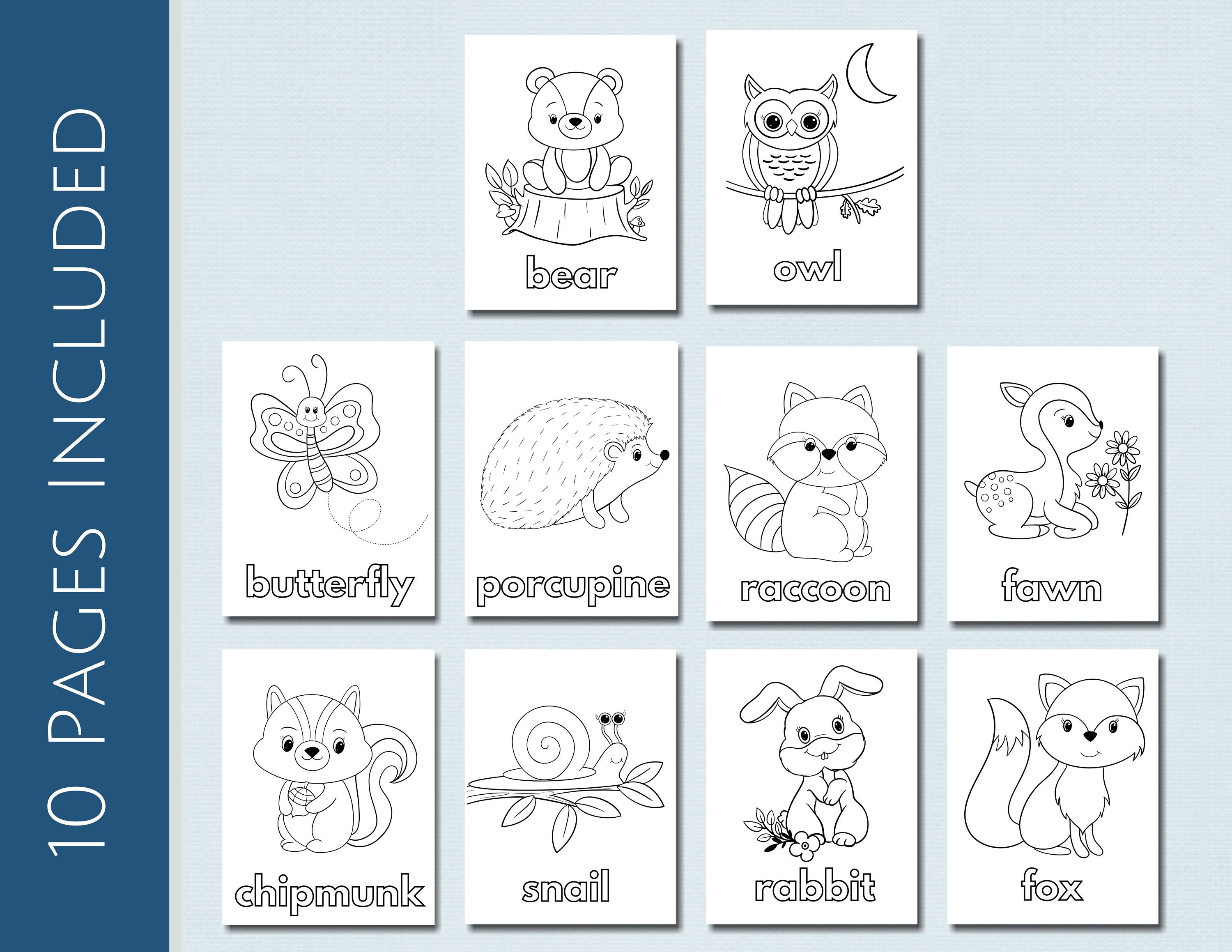 10 Woodland Animals Coloring Pages | Coloring Sheet | Forest Animals ...