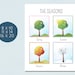 Seasons Chart | Printable Seasons of the Year | Educational Chart ...
