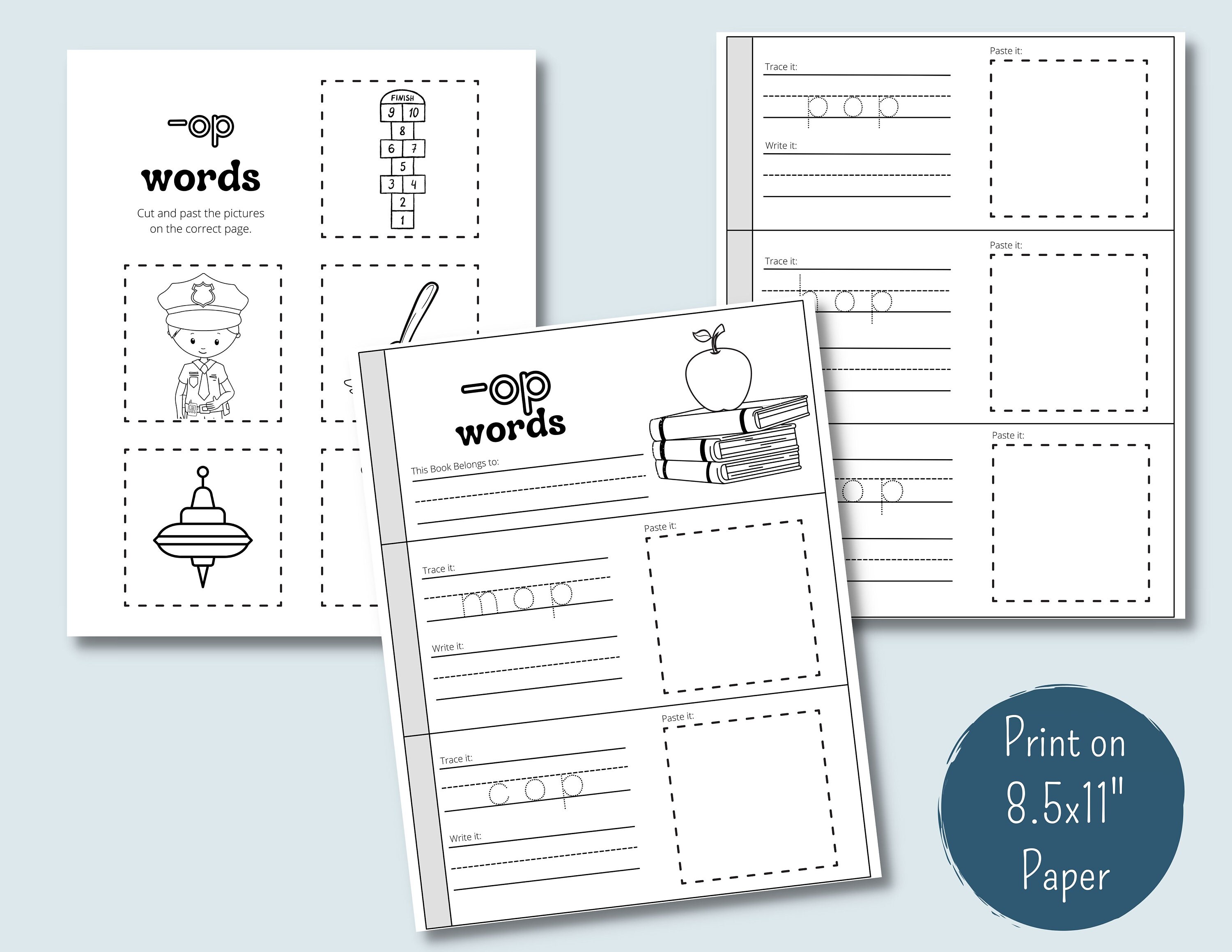 CVC Books Set 3 CVC Words Printable Phonics CVC Words Early Reading ...