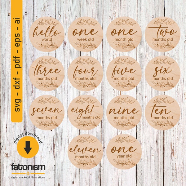Baby Monthly Milestone Svg - Etsy