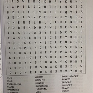 Hide 'N Seek Word Search Puzzles Large Print for Adults - Etsy