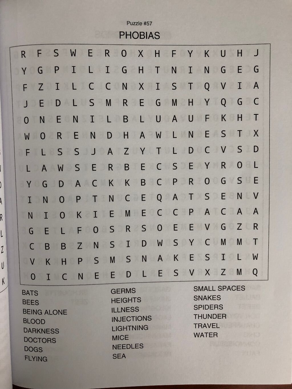 Hide 'N Seek Word Search Puzzles, Large Print for Adults, 130 Fun and ...