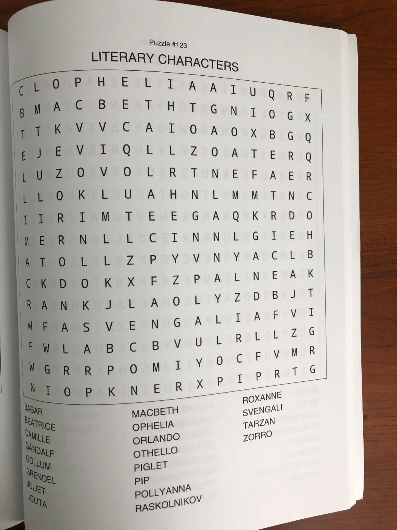 Hide 'N Seek Word Search Puzzles Large Print for Adults - Etsy