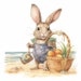Bunny Rabbit on the Beach Coastal Clipart Clip Art 8 PNG Format Instant ...