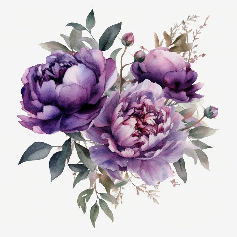 Peony Peonies Flowers Clipart, 8 High Quality JPG Watercolor Art ...
