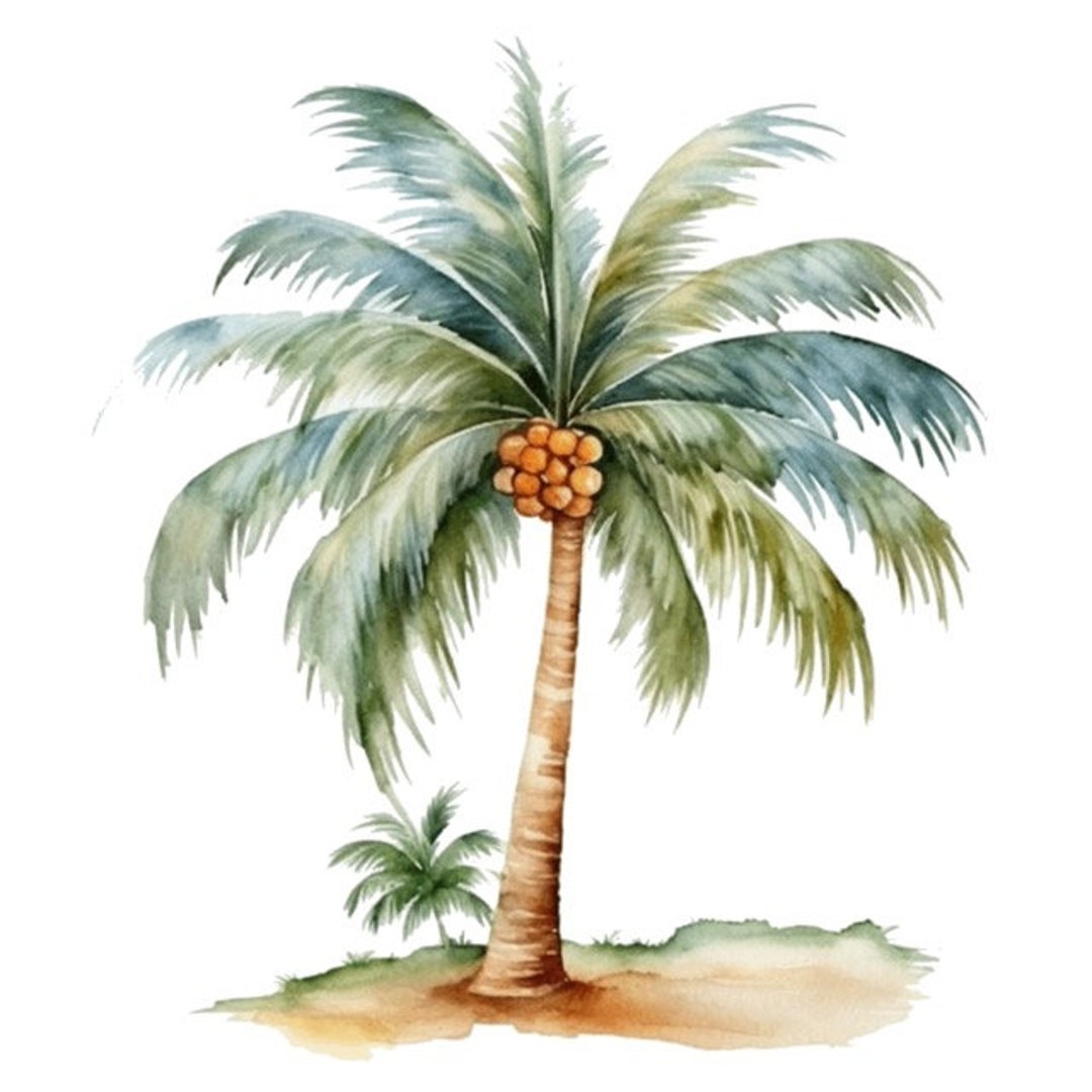 Palm Tree Watercolor Clip Art 4 High Quality PNG Format Instant ...