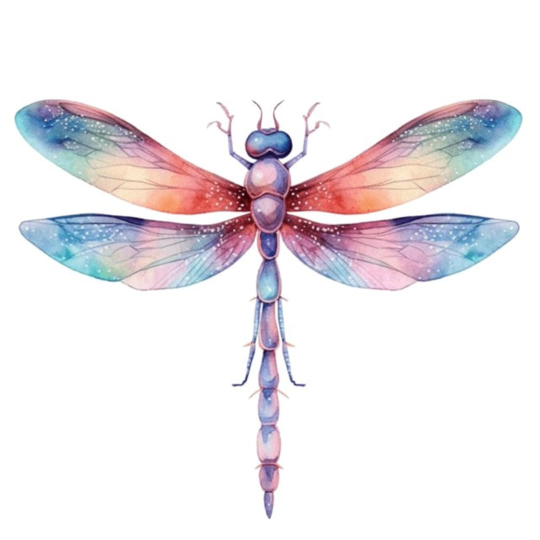 Dragonfly Watercolor Clipart Clip Art 4 PNG Transparent Background Mix Media Card Making Craft ...