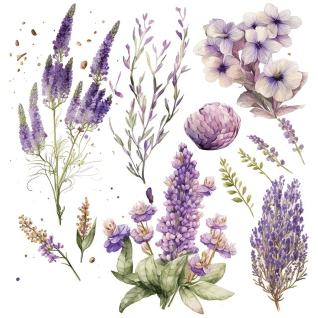 Lavender Flower Floral Watercolor Clip Art Sublimation Graphics 4 PNG ...
