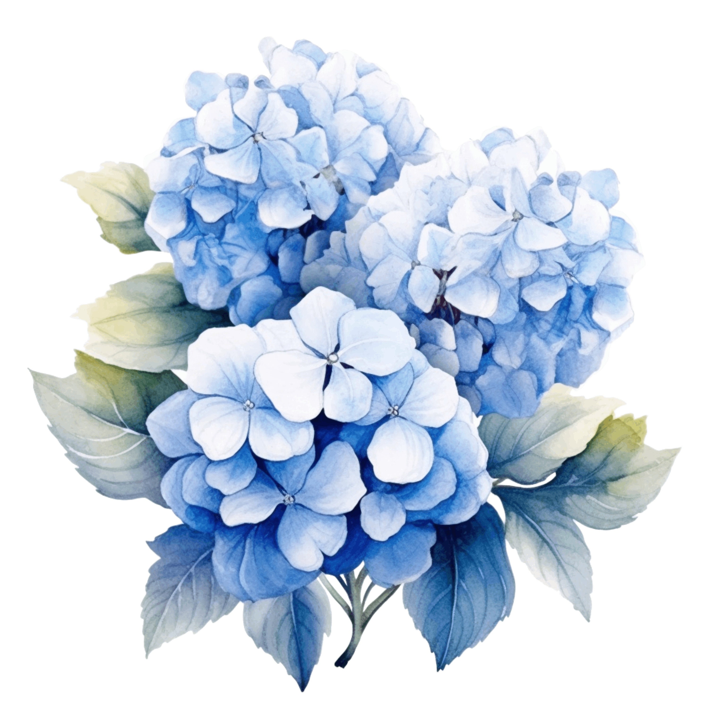 Blue Hydrangeas Bouquet Sublimation Graphics Watercolor Clip Art 4 High ...