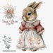 Tudor Bunny Rabbit Clipart 8 High Quality JPG Watercolor - Etsy