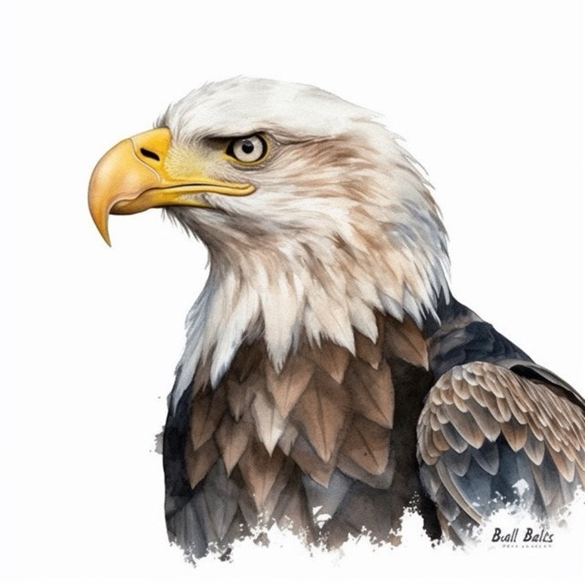 Bold Eagle Watercolor Clipart Clip Art 8 PNG Format Instant - Etsy