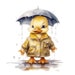 Baby Duck Under the Rain Watercolor Clip Art 4 PNG Scrap Booking Mix ...
