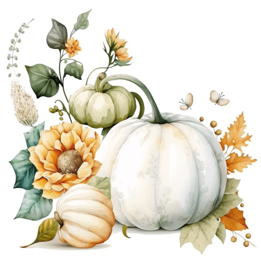 Watercolor Fall Halloween Thanksgiving Pumpkin Clip Art 4 PNG ...