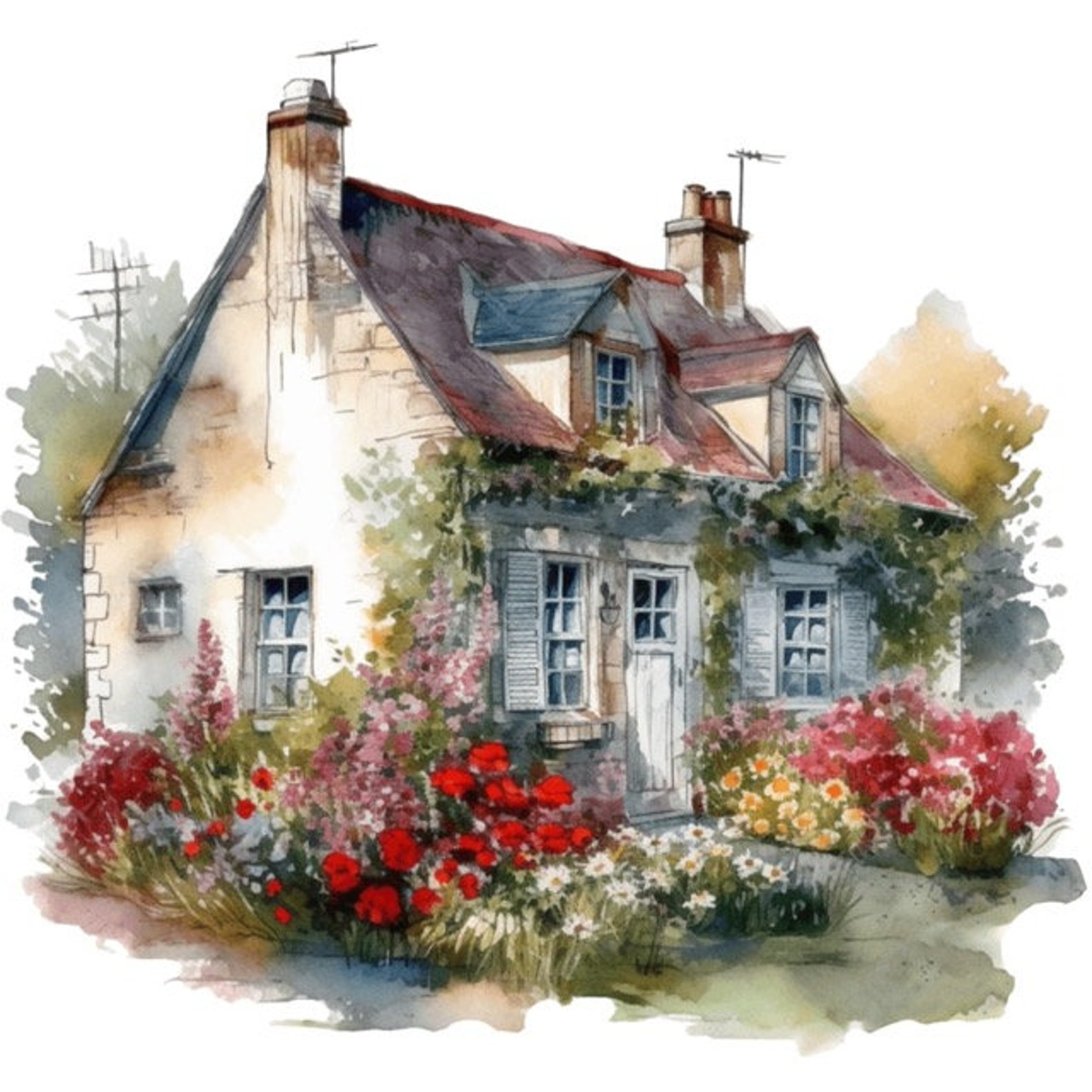 English Flower Farm Watercolor Clipart 4 High Quality PNG, Digital ...