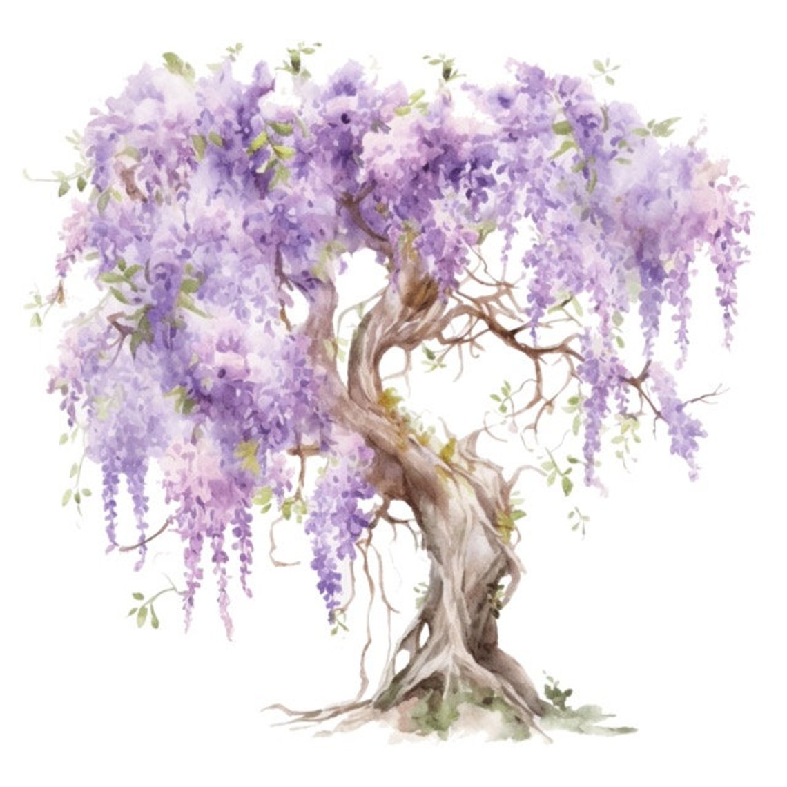 Wisteria Tree Watercolor Clip Art 4 High Quality PNG Format Instant ...
