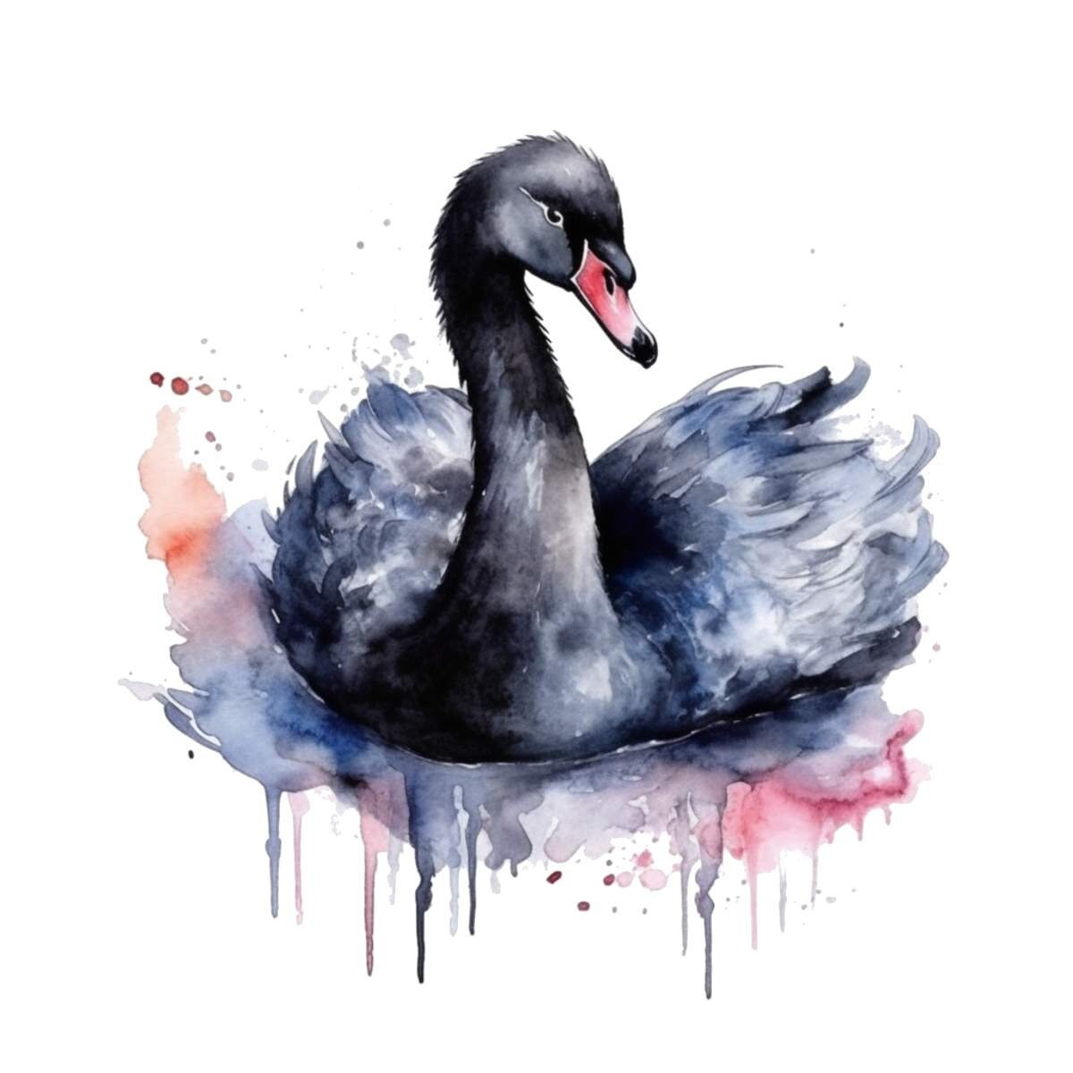 Black Swan Bird Watercolor Clip Art 4 High Quality PNG Transparent Mix ...