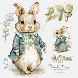 Tudor Bunny Rabbit Clipart 8 High Quality JPG Watercolor Digital ...