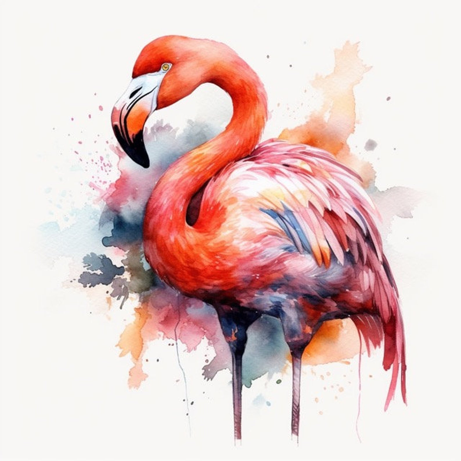 Flamingo Bird Clipart Clip Art 4 PNG Format Files Instant - Etsy