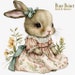Tudor Bunny Rabbit Clipart 8 High Quality JPG Watercolor Digital ...