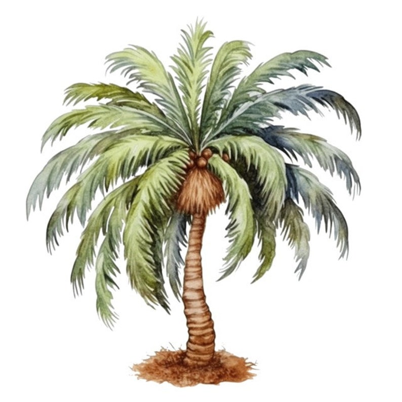 Palm Tree Watercolor Clip Art 4 High Quality PNG Format Instant ...