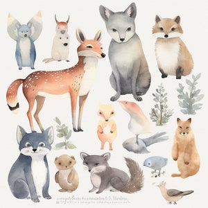 Watercolor Woodland Animals Clipart 8 High Quality JPG Art Digital ...