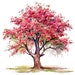 Crabapple Tree Watercolor Clip Art 4 High Quality PNG Transparent ...