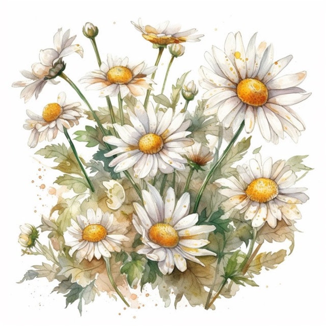 Daisies Daisy Flower Clipart Food 8 High Quality JPG - Etsy