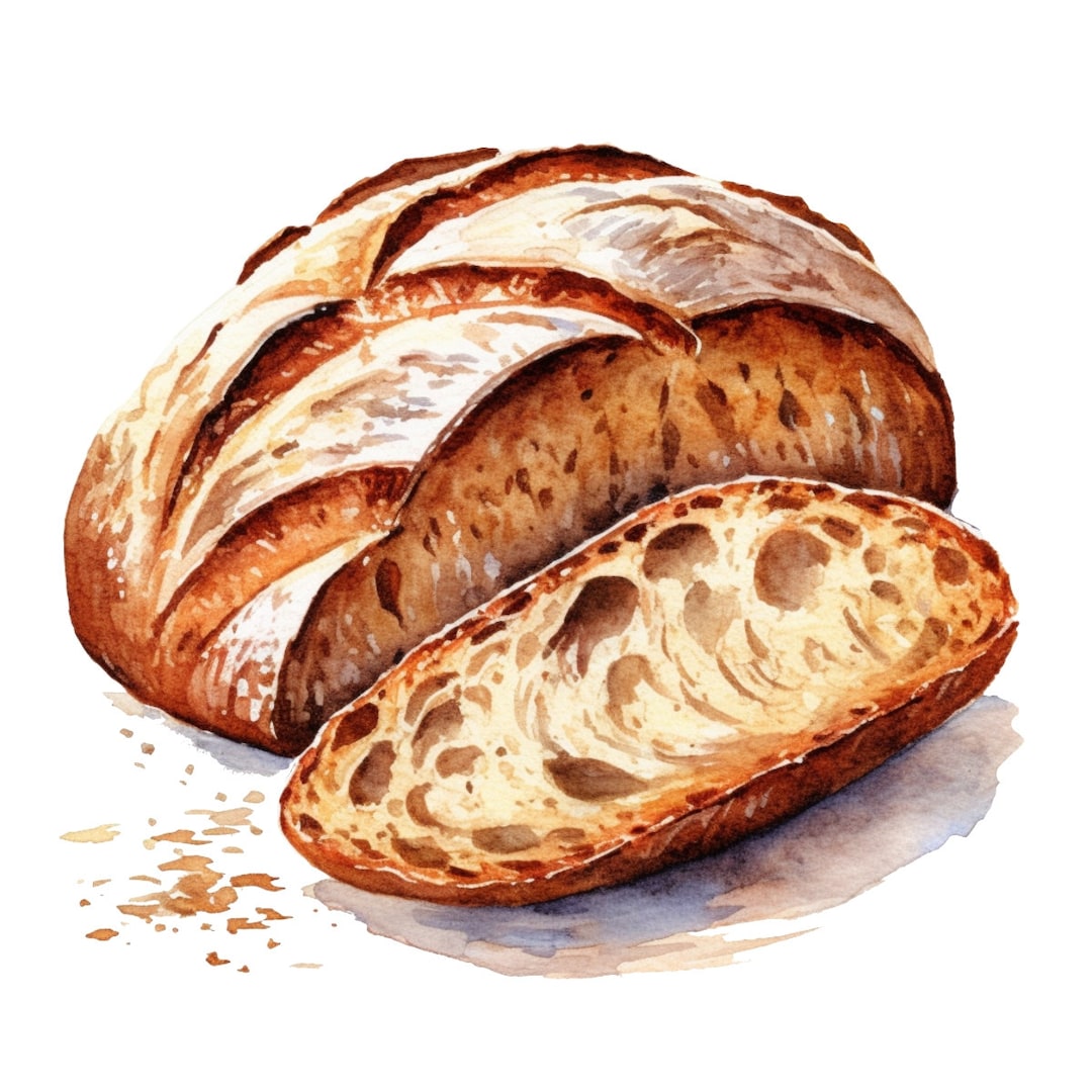 Sourdough Bread Watercolor Clip Art 4 High Quality PNG Transparent ...