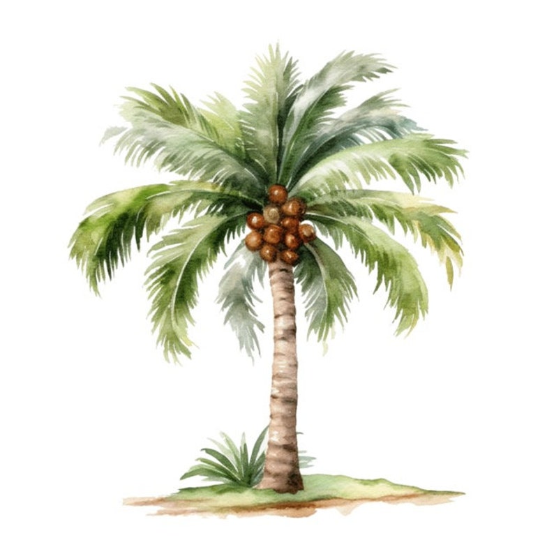 Palm Tree Watercolor Clip Art 4 High Quality PNG Format Instant ...