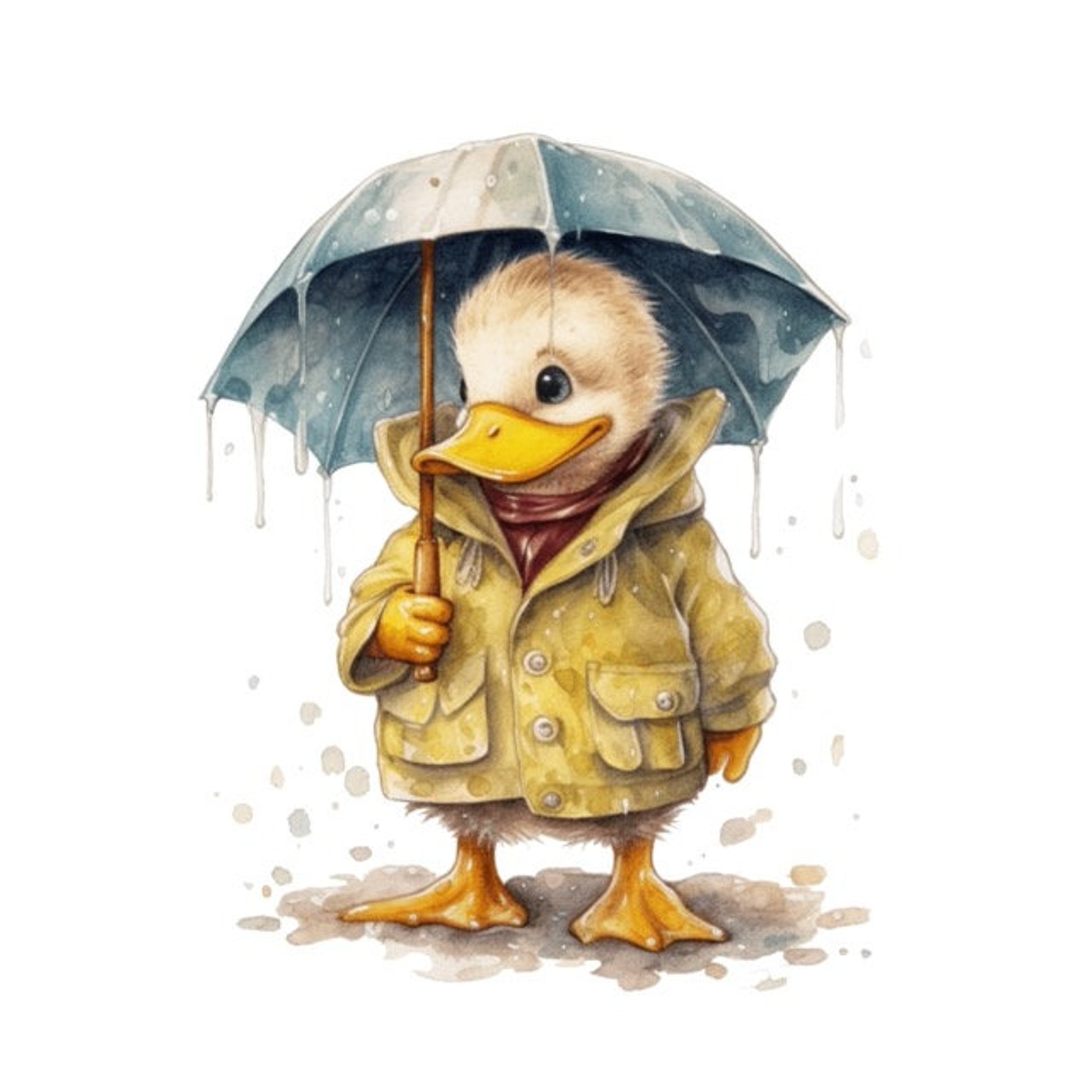 Baby Duck Under the Rain Watercolor Clip Art 4 PNG Scrap Booking Mix ...