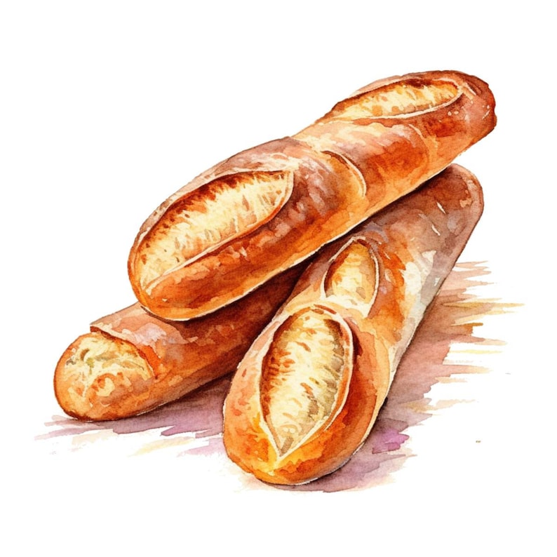 French Baquette Bread Watercolor Clip Art 4 High Quality PNG - Etsy