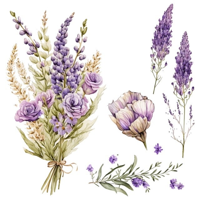 Lavender Flower Floral Watercolor Clip Art Sublimation Graphics 4 PNG ...