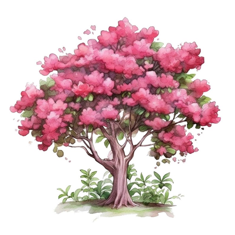 Dark Pink Crape Myrtle Tree Watercolor Clip Art 4 High Quality PNG ...
