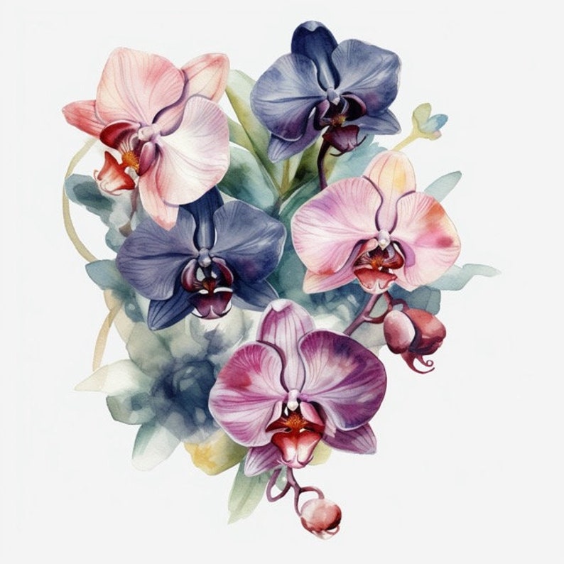 Orchid Flower Watercolor Clipart Clip Art 8 PNG Format Instant Download ...