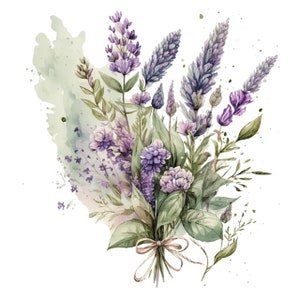 Lavender Flower Floral Watercolor Clip Art Sublimation Graphics 4 PNG ...