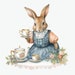 Bunny Rabbit Tea Time Watercolor Clipart, 4 High Quality PNG ...