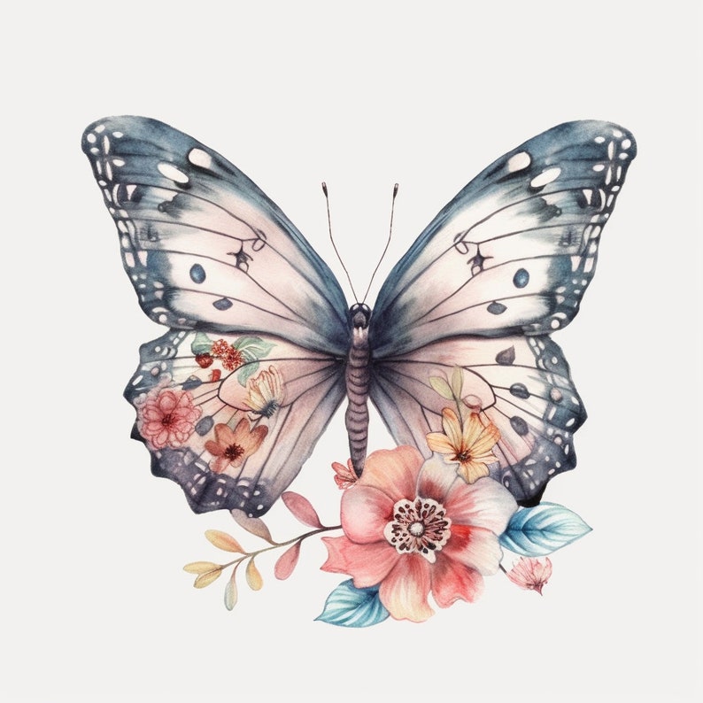 Butterfly Watercolor Clipart 8 High Quality JPG, Digital Download, Card ...