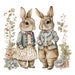 Bunny Rabbit Couple Watercolor Clip Art 4 High Quality PNG Transparent ...