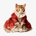 Elizabethan Kitty Cat Kitten Watercolor Clipart 8 High Quality - Etsy