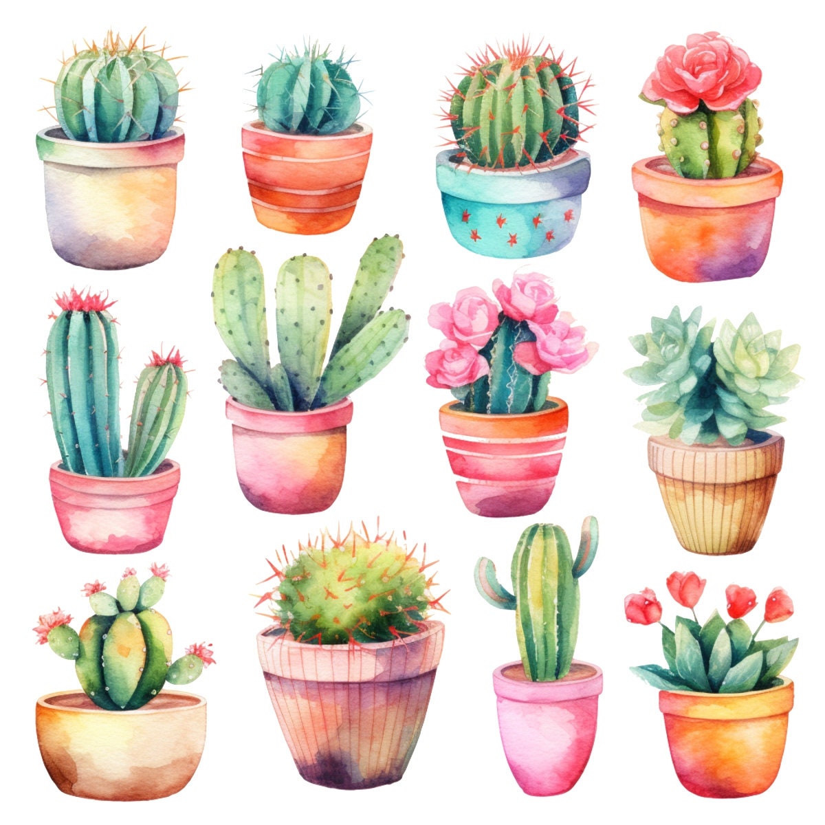 Cactus Flower Floral Sublimation Graphics Watercolor Clip Art - Etsy