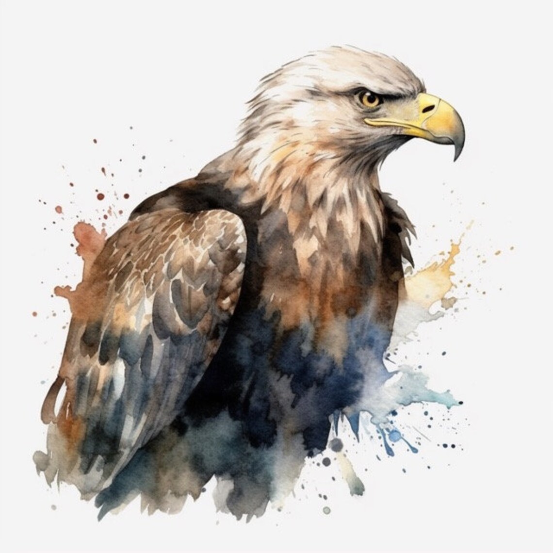 Bold Eagle Watercolor Clipart Clip Art 8 PNG Format Instant - Etsy