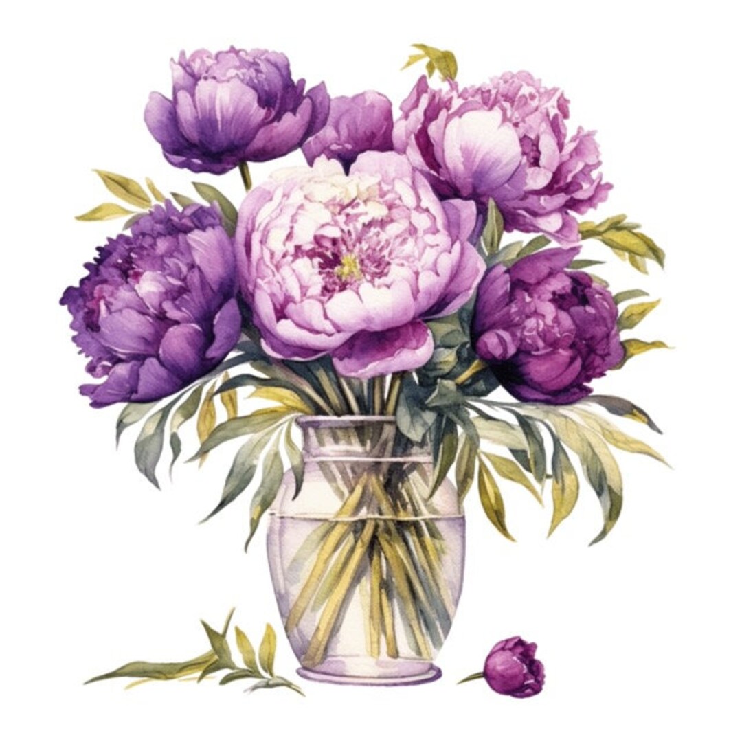 Peonies Flower Floral Bouquet Watercolor Clip Art 4 High Quality PNG ...