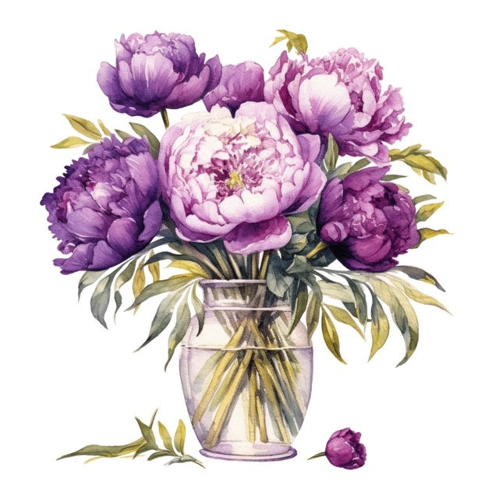 Peonies Flower Floral Bouquet Watercolor Clip Art 4 High Quality PNG ...