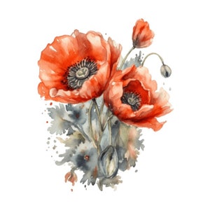 Poppy Seed Flower Floral Bouquet Watercolor Clip Art 4 High Quality PNG ...