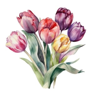 Tulip Flower Floral Tulips Bouquet Watercolor Clip Art 4 High Quality ...