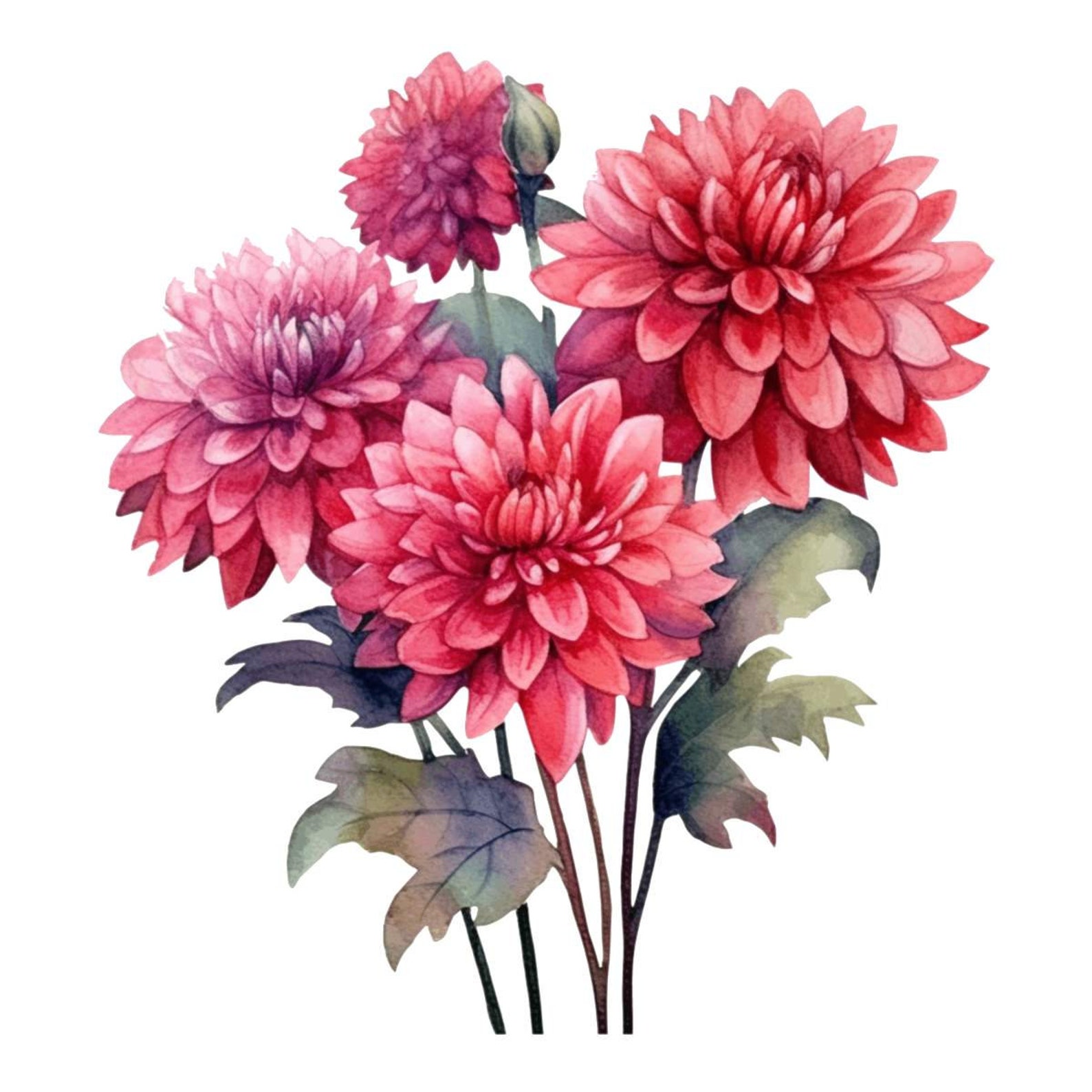 Dahlia Flower Floral Bouquet Watercolor Clip Art 4 High Quality PNG ...