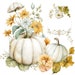 Watercolor Fall Halloween Thanksgiving Pumpkin Clip Art 4 PNG ...